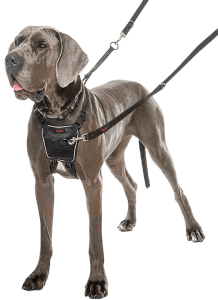 Halti No-Pull Harness | Official Website | Gentle Control for All Dogs